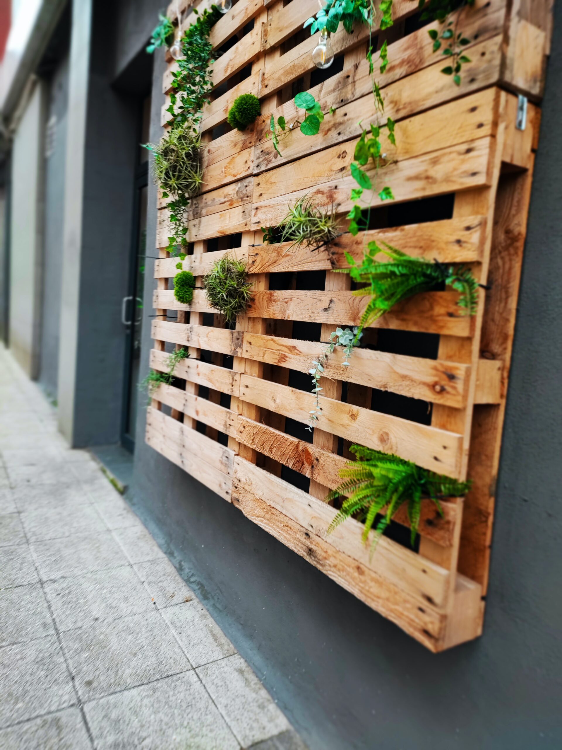 Pallet Sustainability: Eco-Friendly Pathways of Pallets